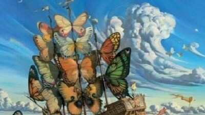 Put Your Visual Skills To Test: Count The Butterflies On This Ship ...