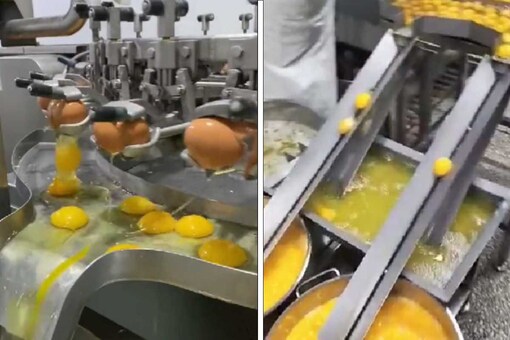 This Video Of Giant Egg Separators At Work Is Addictive News18