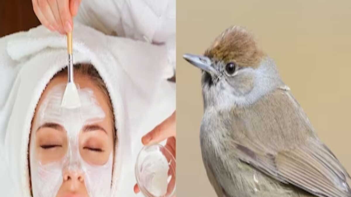 This Nightingale Poop Facial From Japan Makes Your Skin Youthful | Buzz ...