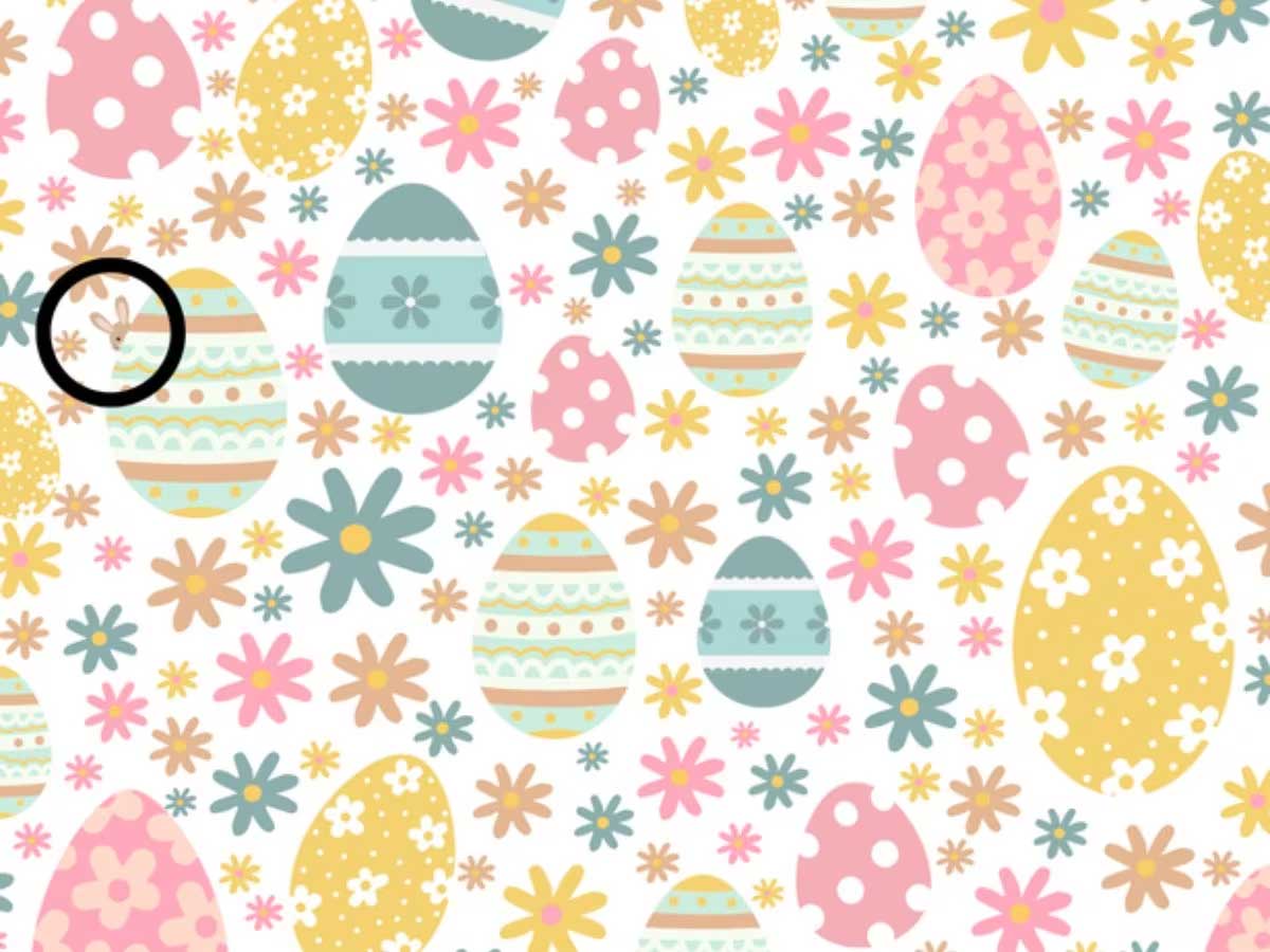 Optical Illusion: Find The Bunny Hidden Among Eggs And Flowers In This ...