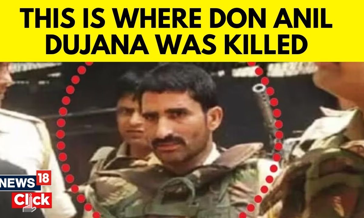 UP Gangster Anil Dujana, Wanted In Murder Case, Killed In Encounter In ...