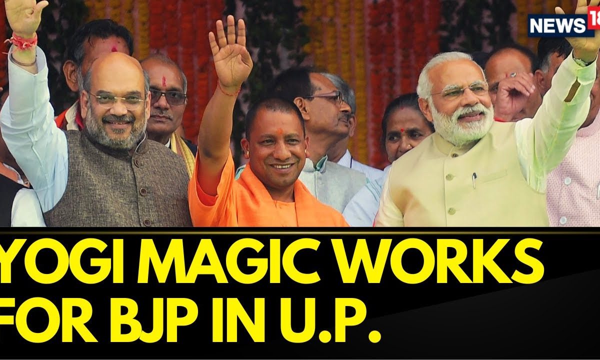 UP Nikay Chunav 2023 | UP Election Result |Yogi Adityanath On BJP's Victory In UP CIvic Polls ...