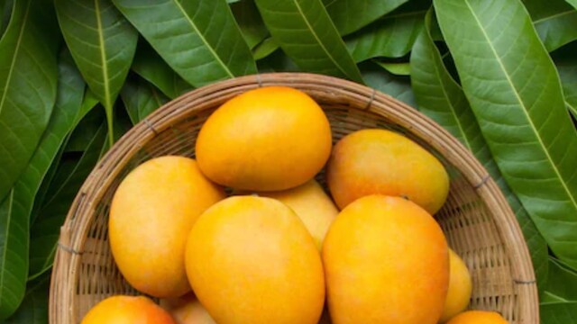 4 Easy Ways To Identify Chemically Ripened Mangoes | Lifestyle News ...