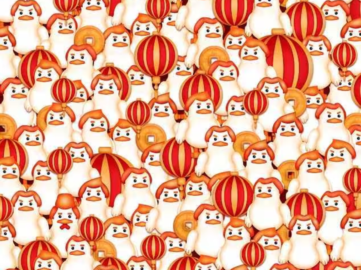 Optical Illusion: Can You Find A Rooster Among Hens In This Image In 9 ...