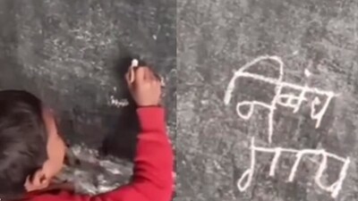 Asked To Write An Essay On Cow, Student's Answer Leaves Internet In ...