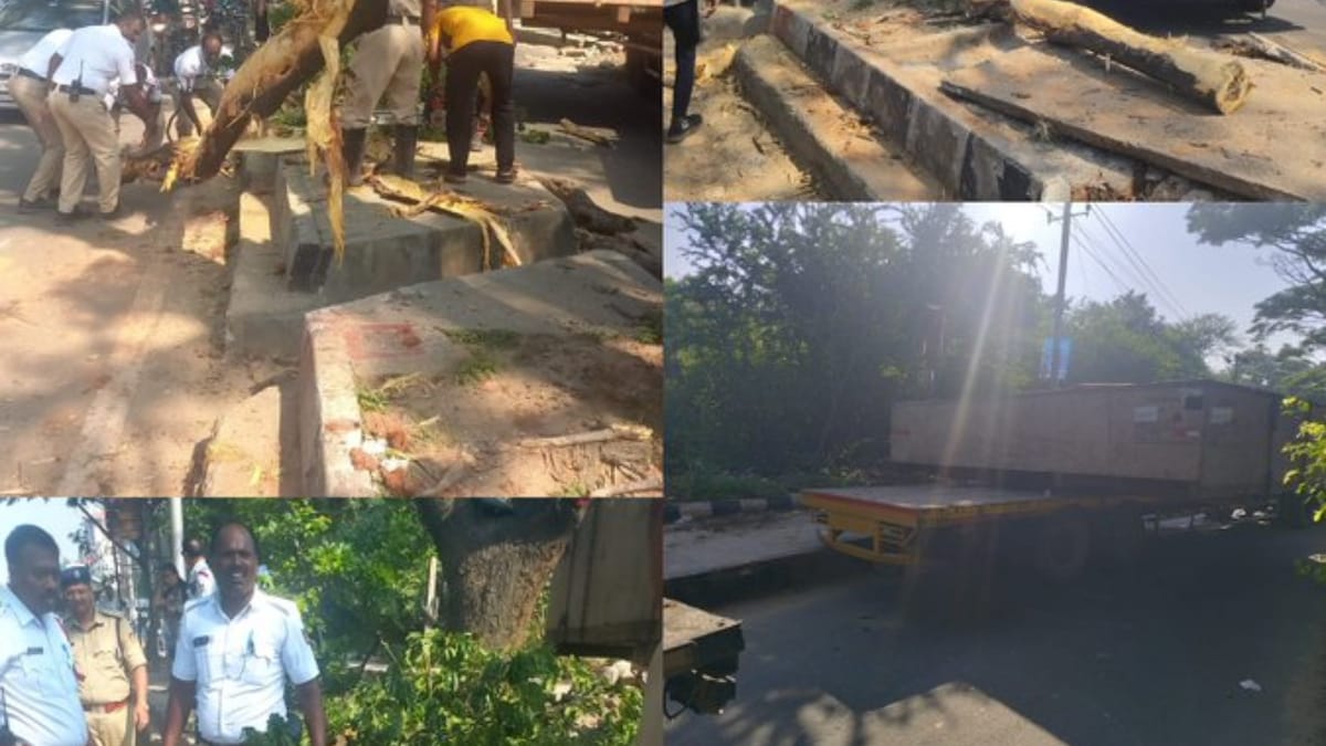Traffic In Bengaluru's Busy Tech Corridor Comes To A Halt After Tree Falls, Pics Go Viral ...