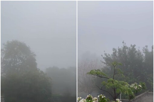 Delhi Rain: Untimely Fog Stuns City, Coldest May Day Recorded Since ...