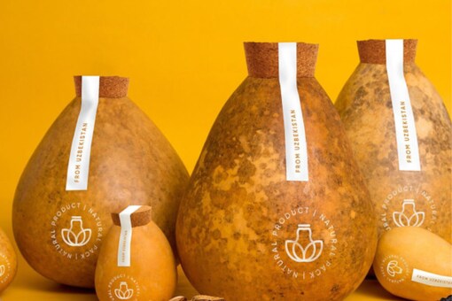 These Gourds are Being Used Instead of Plastic Packaging - News18