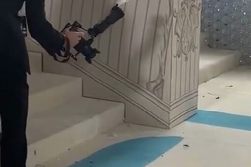 Met Gala 2023: Cockroach 'Walking' Red Carpet Steals the Show, Becomes ...