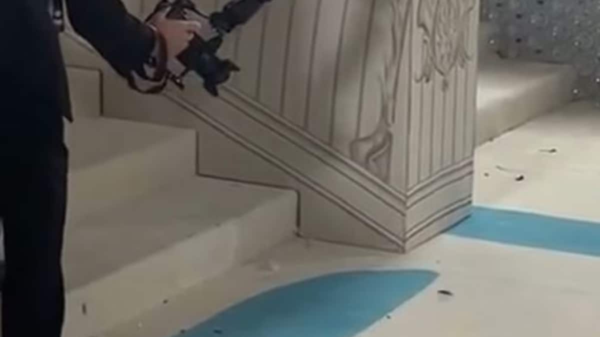 Met Gala 2023: Cockroach 'Walking' Red Carpet Steals the Show, Becomes ...