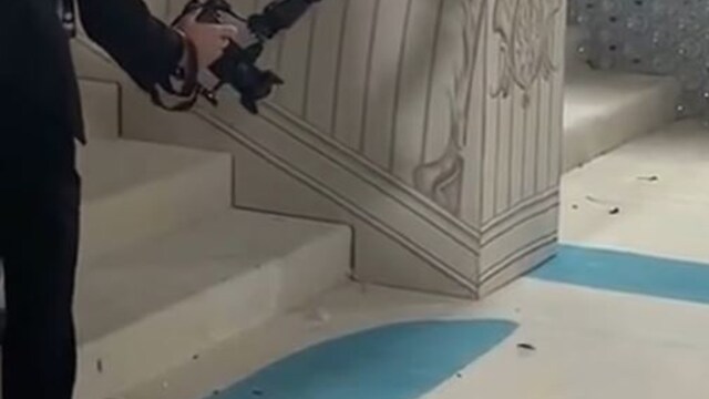 Met Gala 2023: Cockroach 'Walking' Red Carpet Steals the Show, Becomes ...