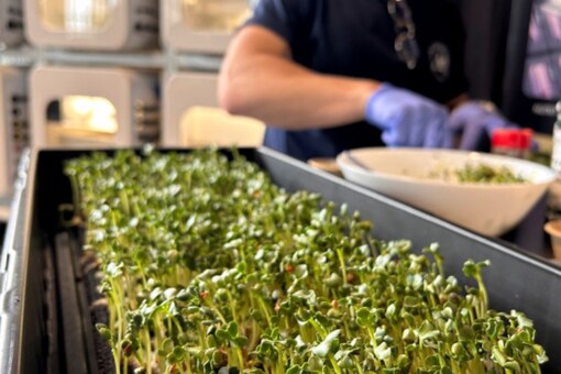 NASA Looks to Spice Up Astronaut Menu With Deep Space Food Production ...