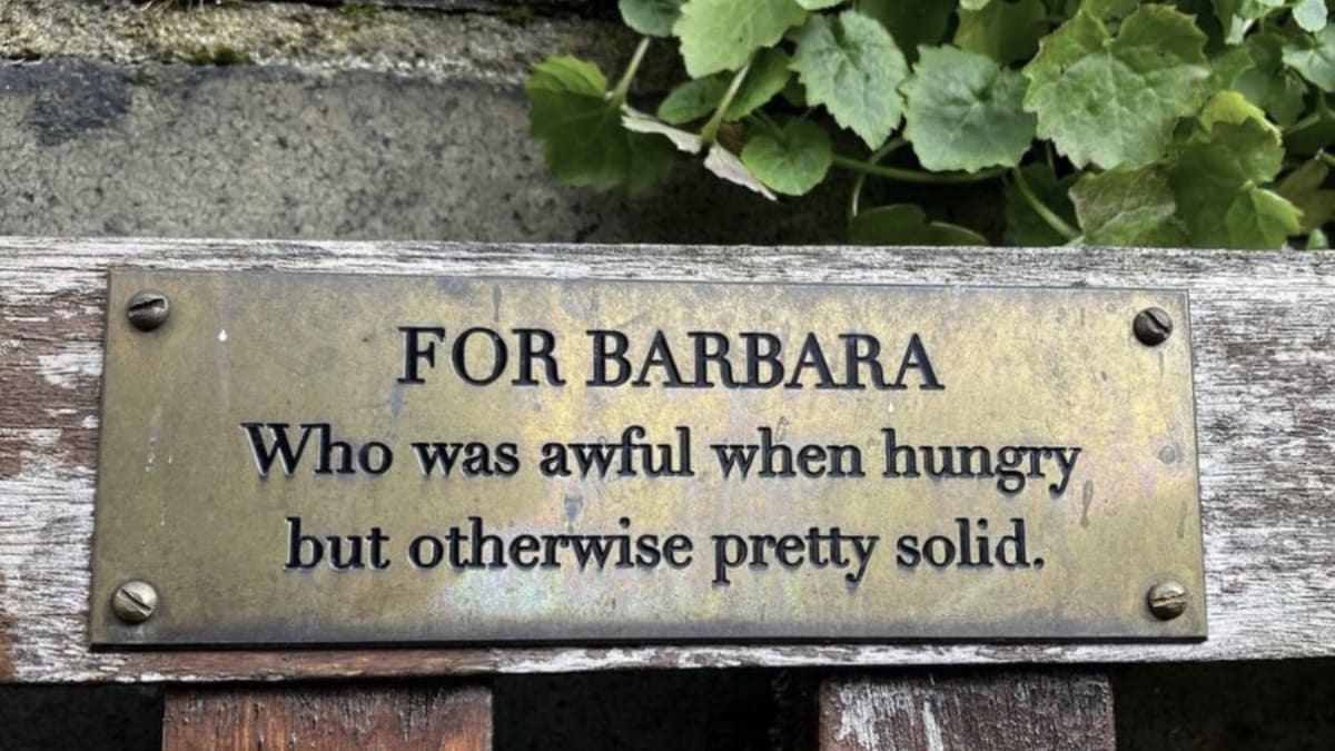 'We Are All Barbara': This Funny Memorial Sign Is Relatable To The Core ...