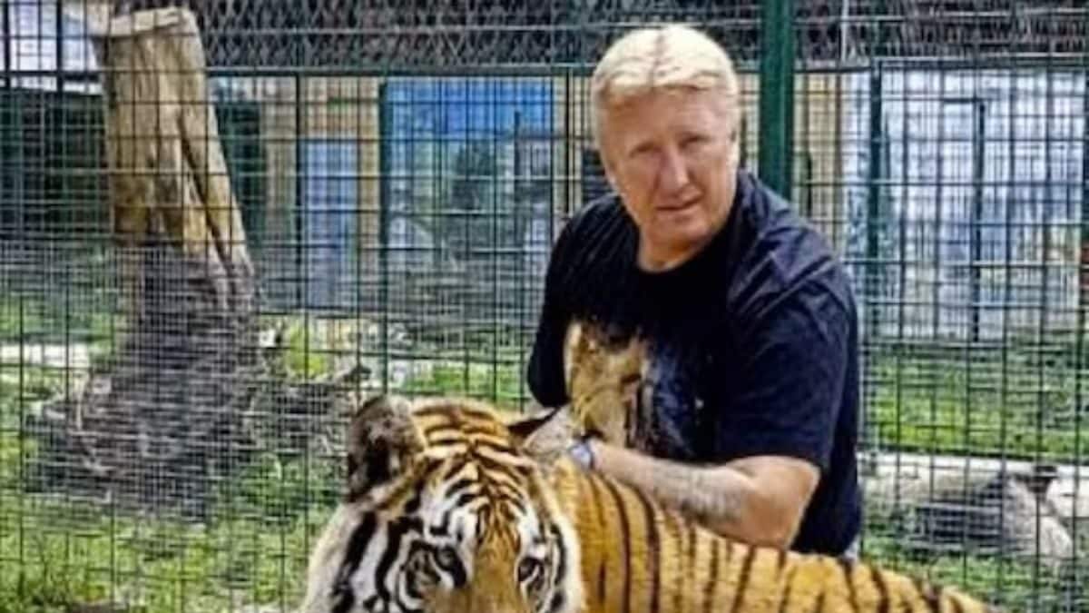 In Europe, Man's Private Zoo Turns Into His Graveyard As Lions Eat Him ...