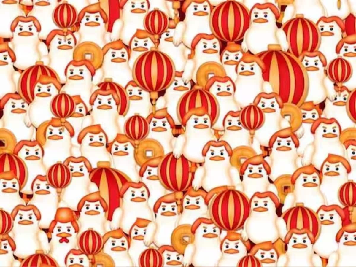 Optical Illusion: Can You Find A Rooster Among Hens In This Image In 9 ...
