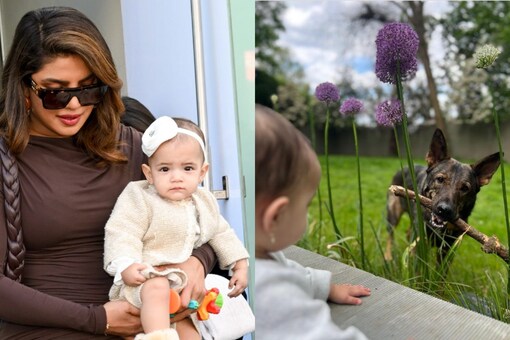 Priyanka Chopra’s Pet Dog Plays With Her Baby Daughter Malti And It’s ...