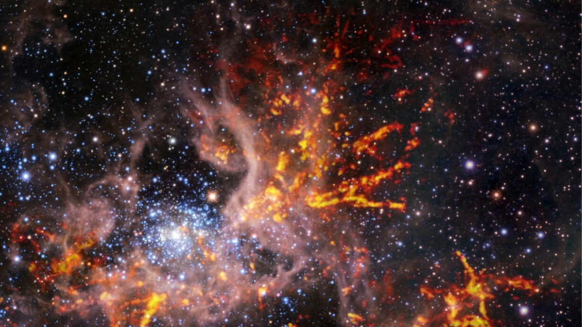 Webb Telescope Spots Signs of Universe's Biggest Stars | Viral News ...