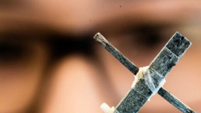 A Transistor Made of Wood: Technical Feat or Sign of a Future ...