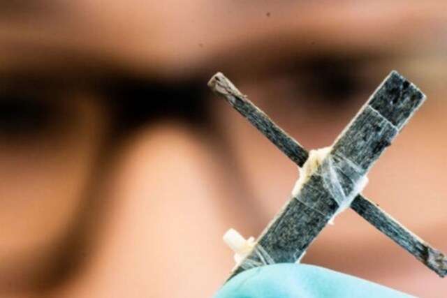A Transistor Made of Wood: Technical Feat or Sign of a Future ...