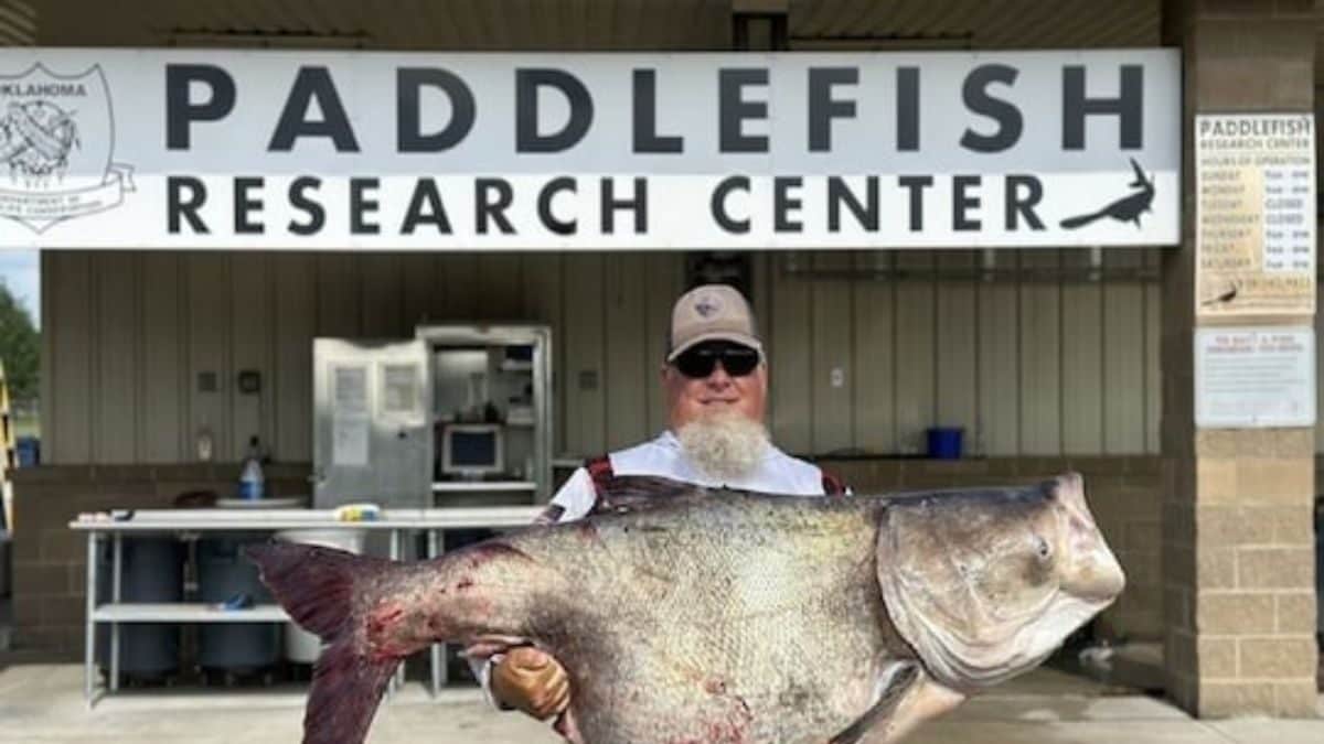 Enormous 53 Kg 'Alien Fish' Discovered In Oklahoma; Here's How It Looks ...