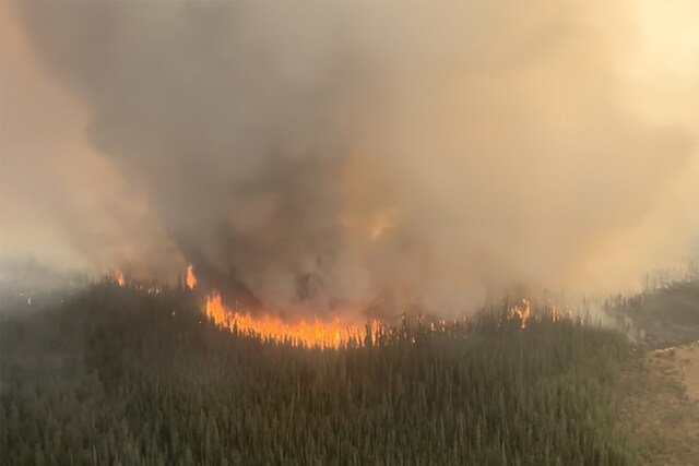 Canada Wildfires: Trudeau Sends in Army to Battle Alberta Fire Fueled ...