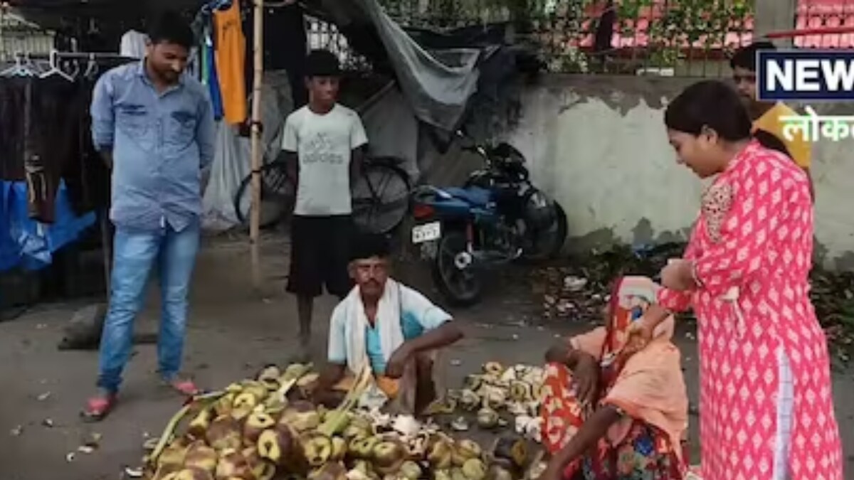 Purnia’s Special Tarkun Fruit With Medicinal Properties Costs Just Rs 5 ...