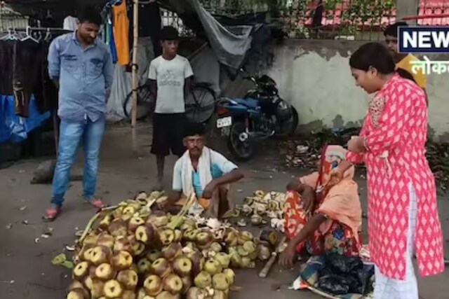Purnia’s Special Tarkun Fruit With Medicinal Properties Costs Just Rs 5 ...