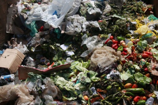 Could This AI-guided Compost Bin Reduce Food Waste? - News18