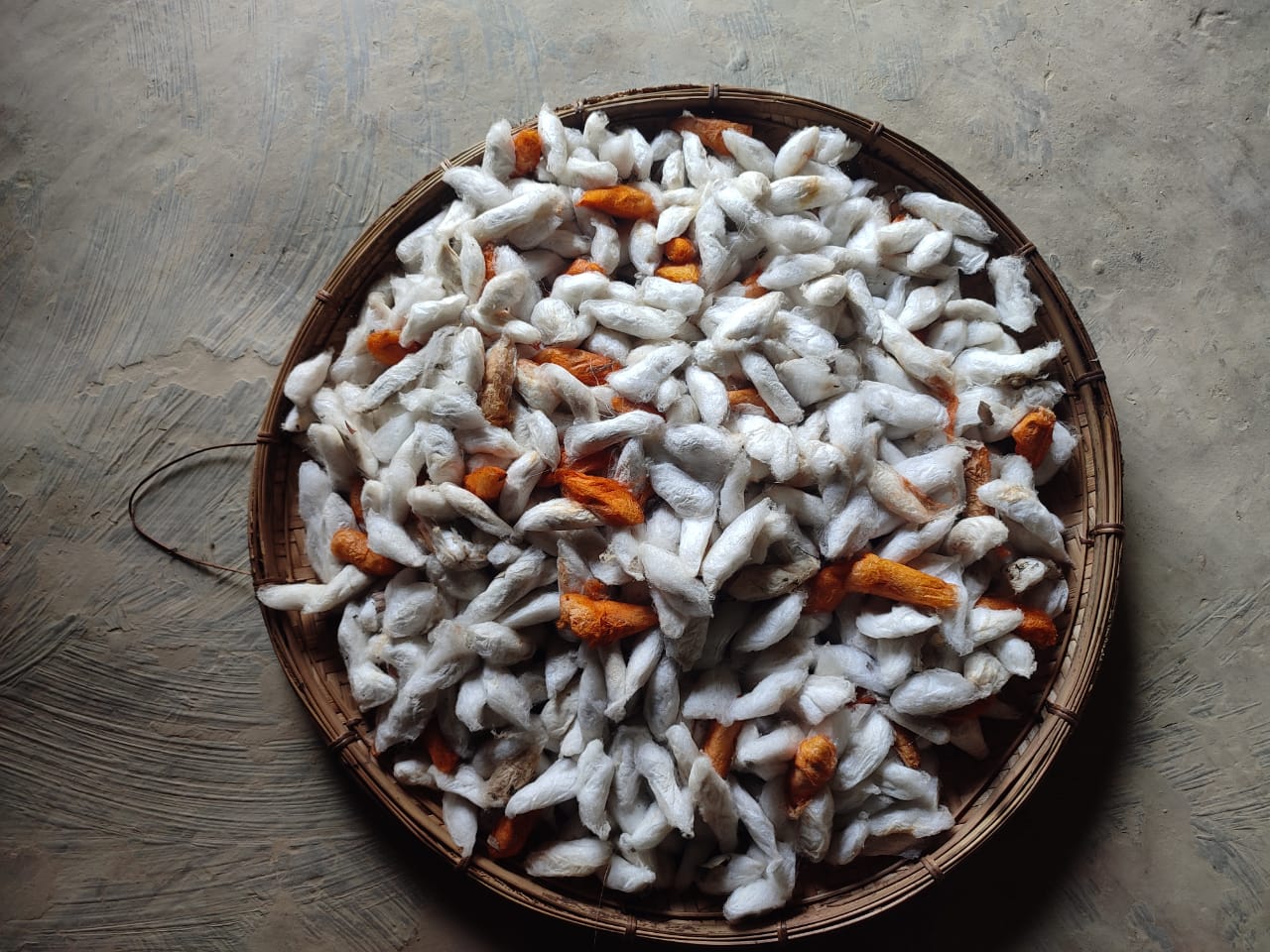 Have You Tried Eri Polu? Know About This Indigenous Assam Delicacy Made ...
