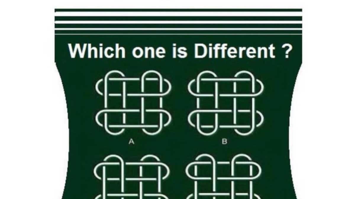 Full Marks For Finding The Odd One Out In This Chained Figure Optical ...