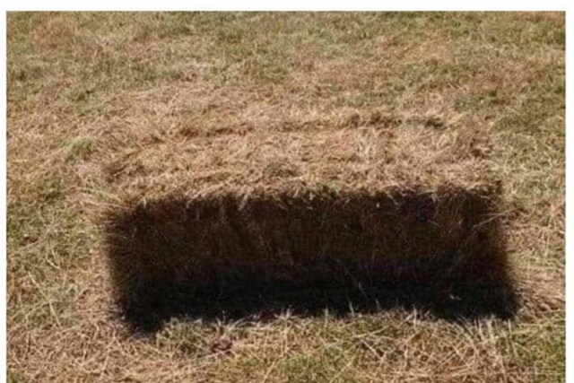 Ready To Test Your Visual Perception Skills? This Riddle May Leave You ...