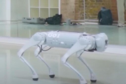 YouTuber's Robot Steals The Spotlight At Dog Show With Tricks And Dance ...