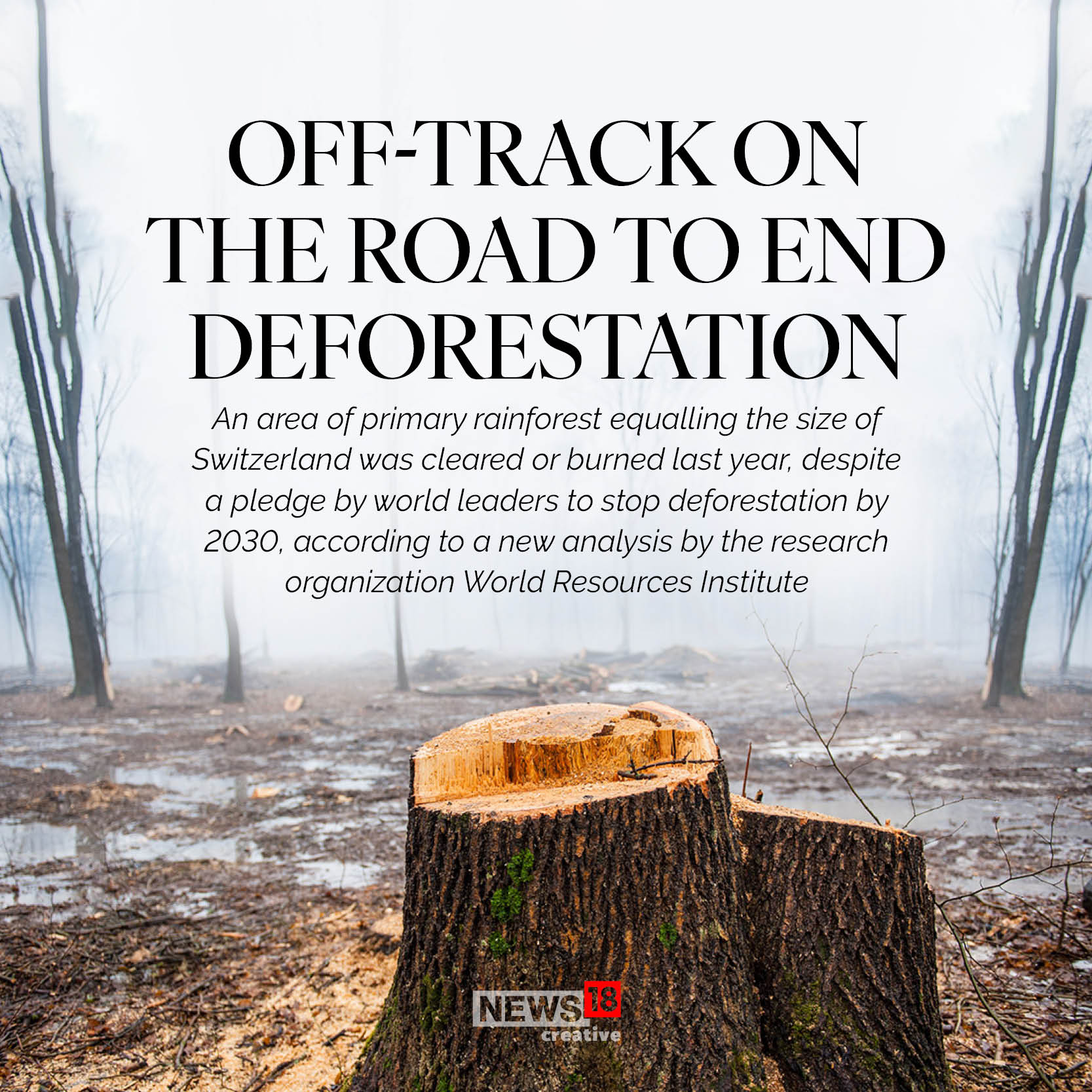 Deforestation Not Slowing Down Despite 2021 Glasgow Declaration | GFX ...
