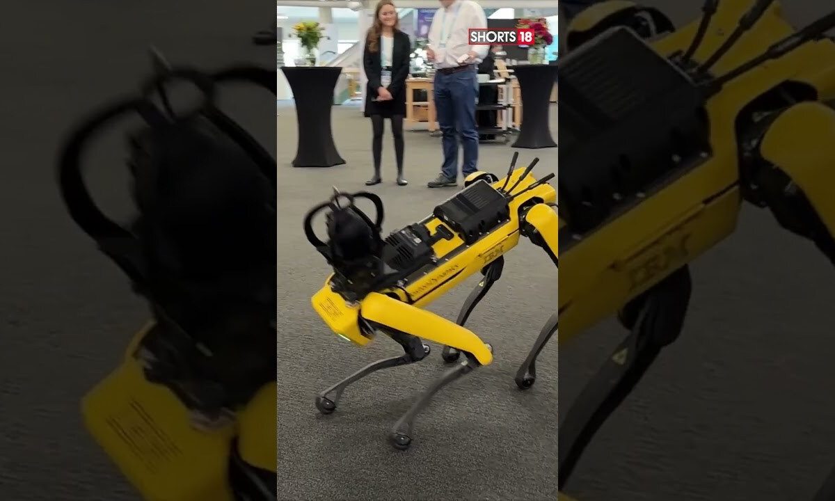 Spot The Robot Dog Learns New Tricks | Boston Dynamics Robot Dog Spot ... Spot The Robot Dog Learns New Tricks | Boston Dynamics Robot Dog Spot ...