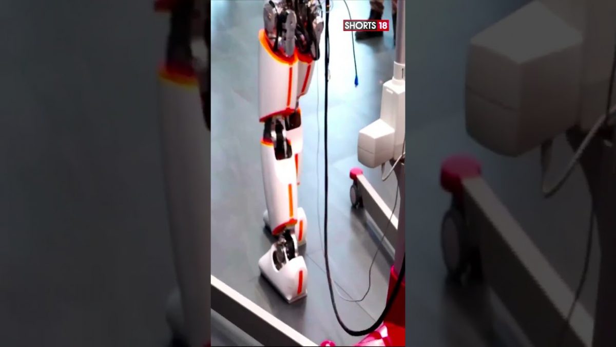 Meet The Robot That Can Do All Your Heavy Lifting | Heavy Weight ...
