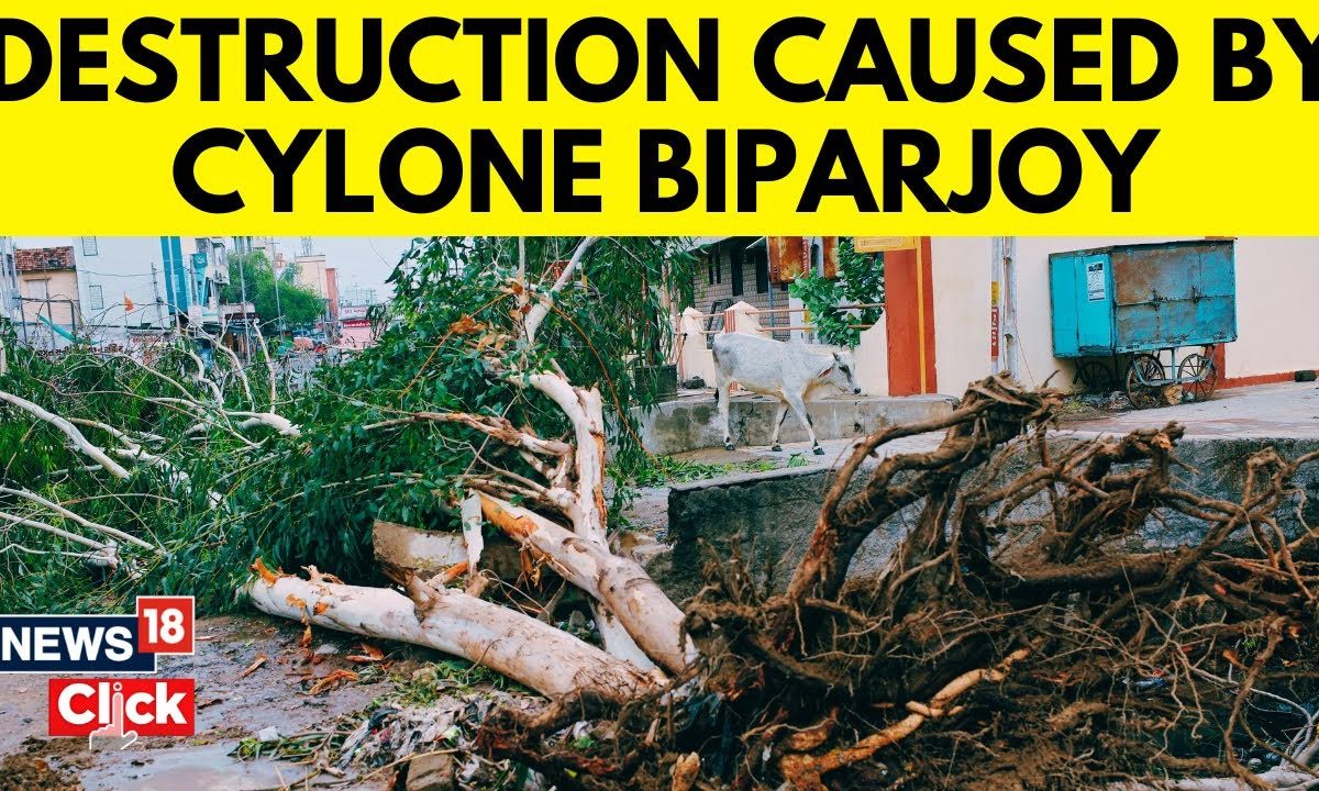 Cyclone Biporjoy News India | Cyclone Biparjoy Gujarat | Biparjoy ...