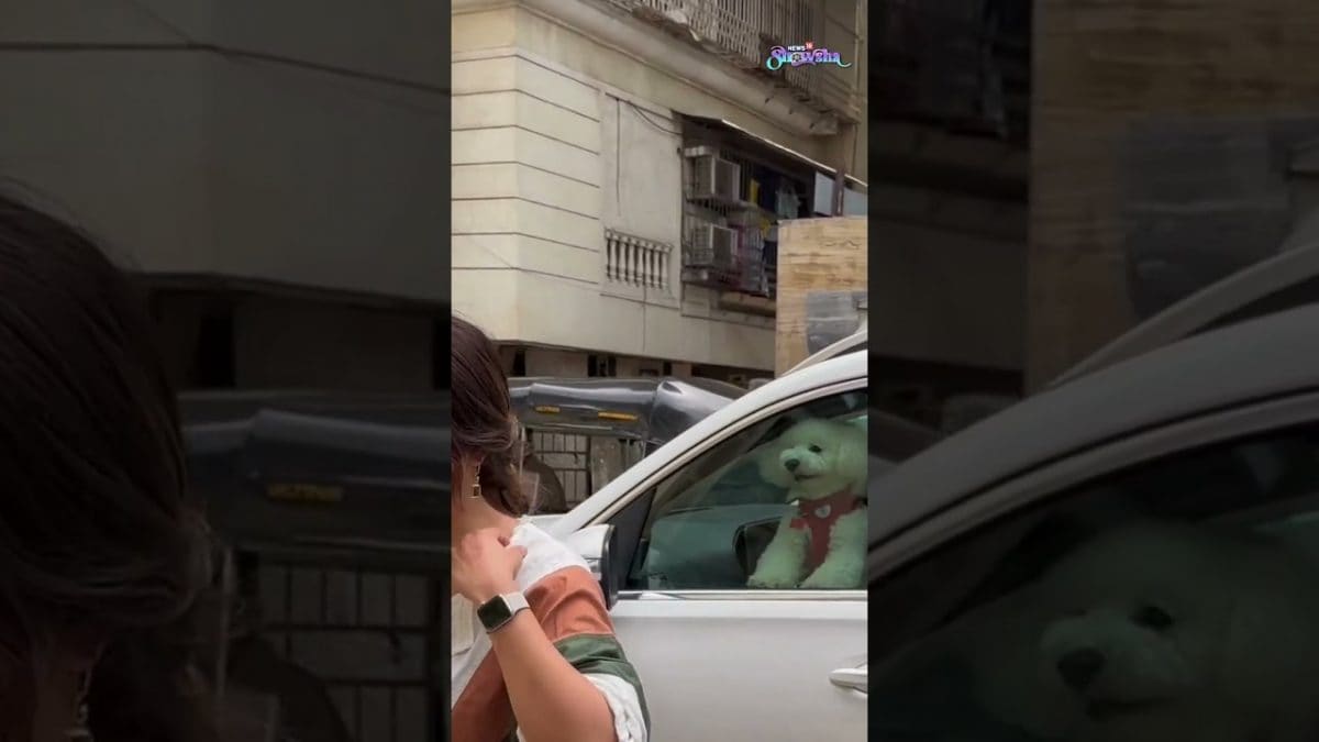 Shama Sikander Cute Dog Casper Comes Out To See Her Off | Shama ...
