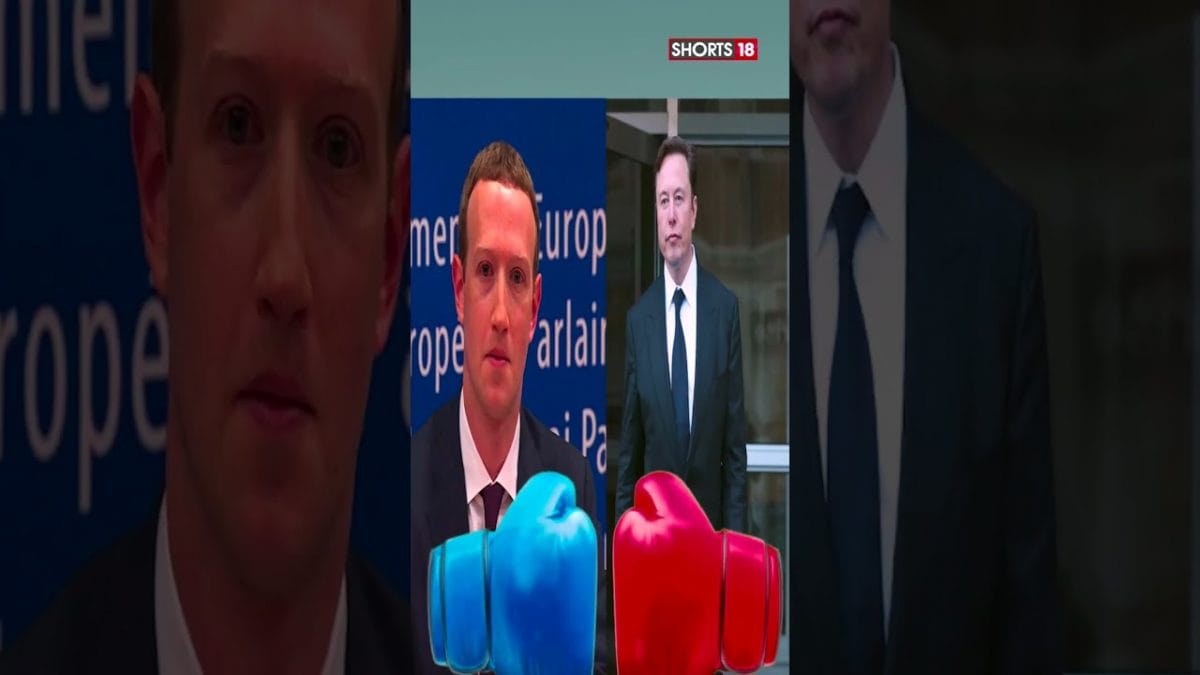 Elon Musk Vs Mark Zuckerberg | Elon Musk Training In Mixed Martial Arts ...