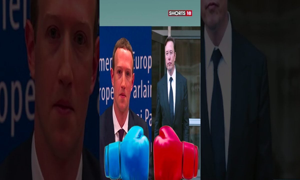 Elon Musk Vs Mark Zuckerberg | Elon Musk Training In Mixed Martial Arts ... Elon Musk Vs Mark Zuckerberg | Elon Musk Training In Mixed Martial Arts ...