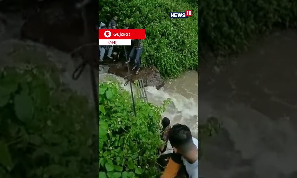 Gujarat: Three Rescued From Patanvav Osam Hill Amidst Heavy Rain | # ...