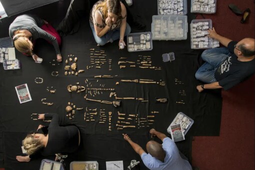 Small-brained Ancient Human Cousins May Have Buried Their Dead, Study ...