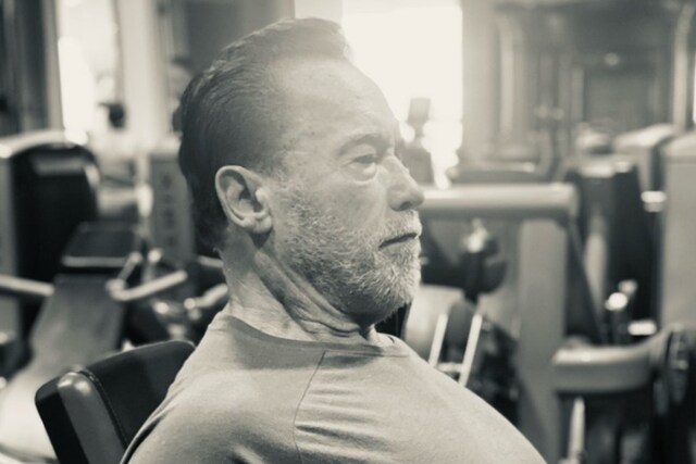 'You've Been Terminated': Arnold Schwarzenegger's Epic Response To ...