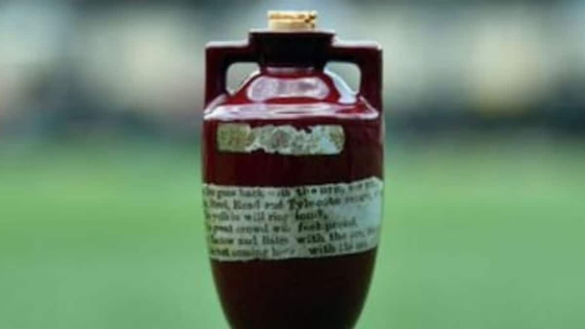 Video Of Fans' Favourite 'Ashes Moments' Is The Best Thing On Internet ...