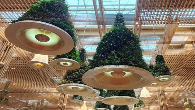 Bengaluru Airport's 'Terminal in A Garden' in Full Bloom, Goes ...