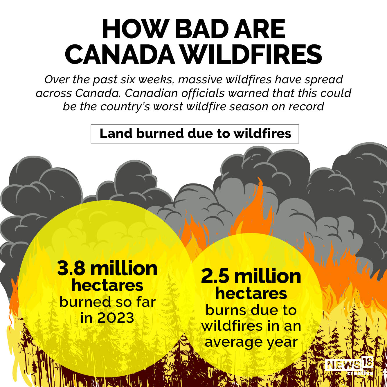 Canada Wildfires: How Bad is the Disaster and What is Behind This ...