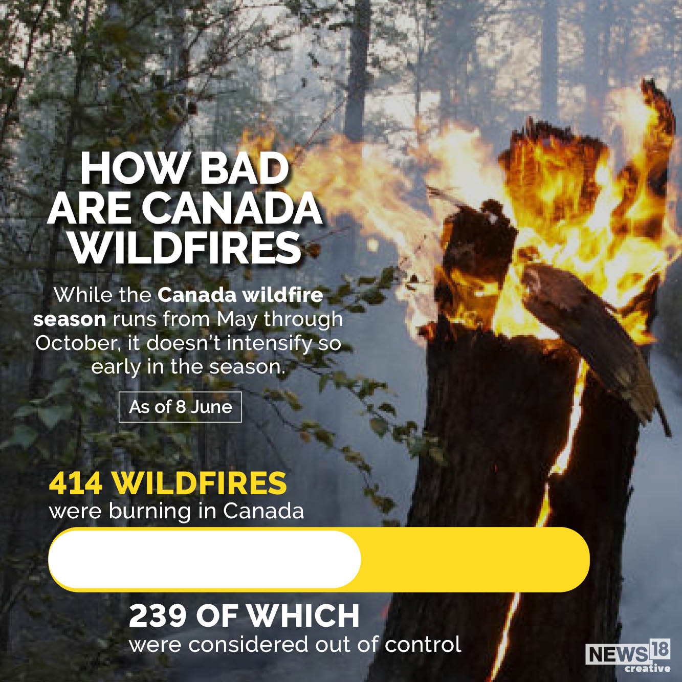 Canada Wildfires: How Bad is the Disaster and What is Behind This ...