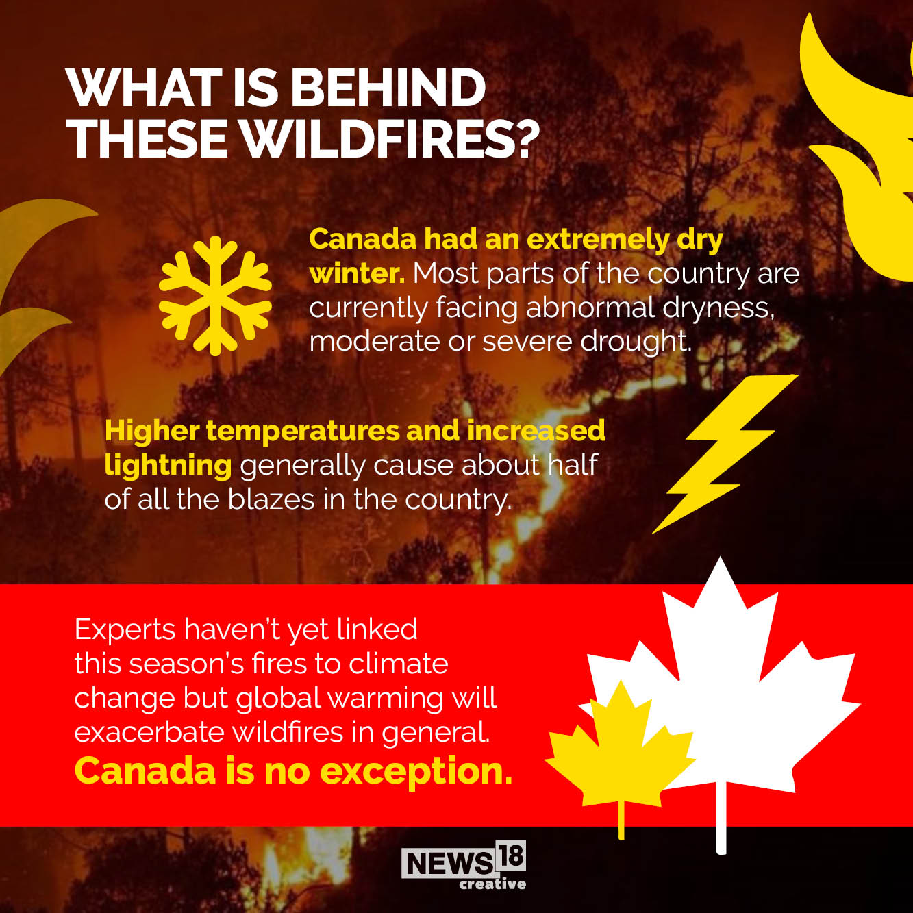 Canada Wildfires: How Bad is the Disaster and What is Behind This ...