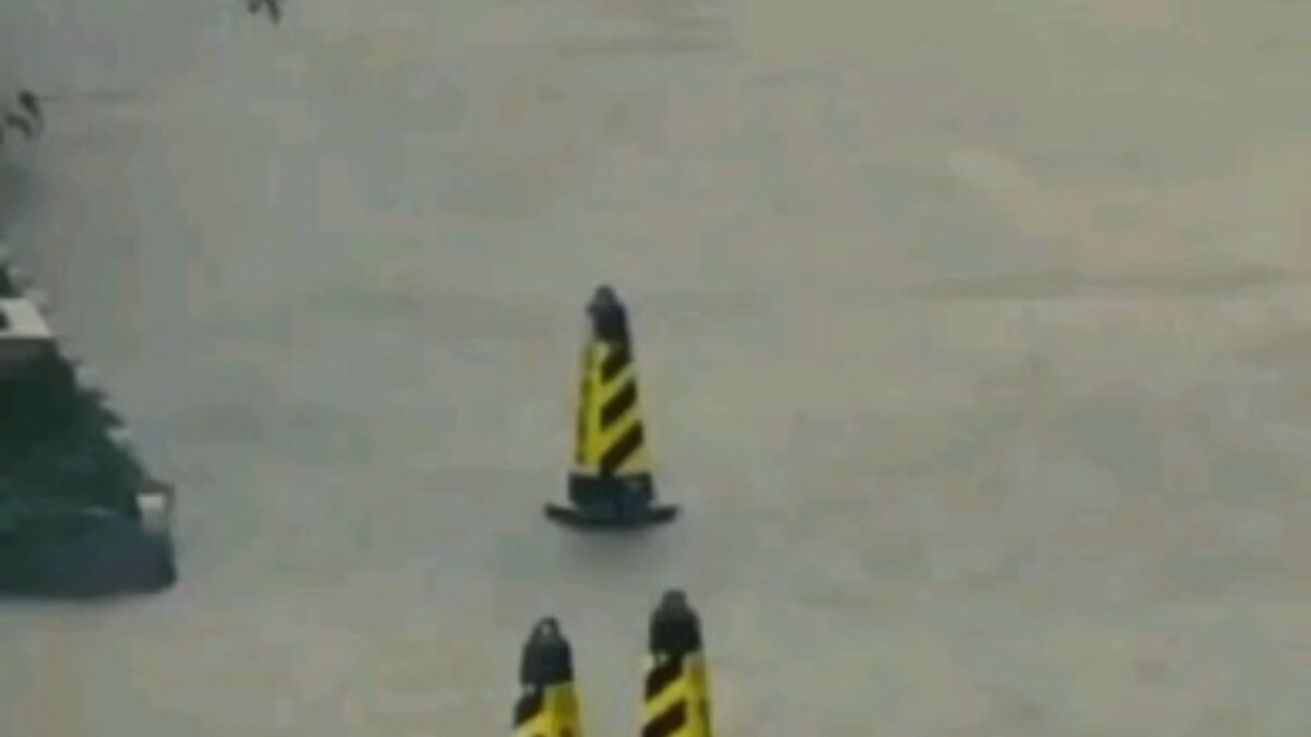 Video Of Floating Traffic Cones Sparks Hilarious Reactions: 'Better Love Life Than Me' | Viral ...