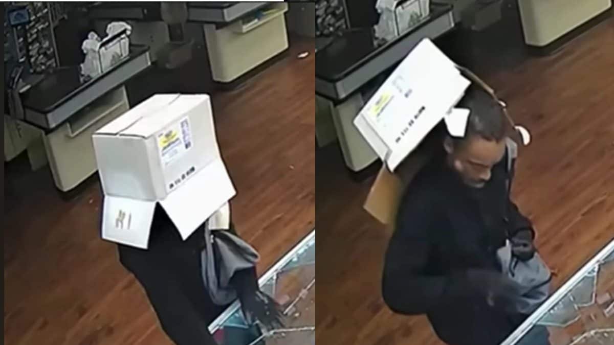 Man Hiding Face Under Cardboard Box For Robbery Commits This Blunder ...