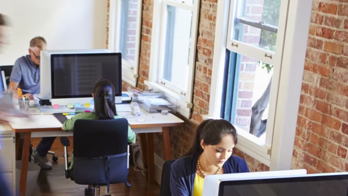 This Company Has No Managers in New Policy and its Productivity Has ...